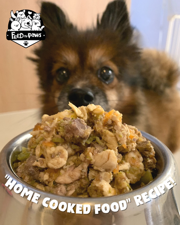 Home Cooked Meal Recipe for Dogs & Cats! – Feed My Paws