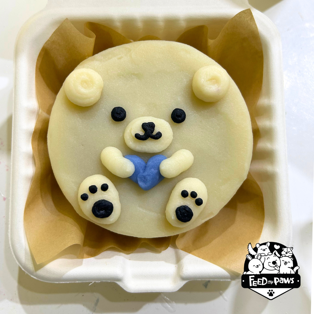 Feed My Paws SG - Handmade Mini Bento Dog Birthday Cake - Singapore ...