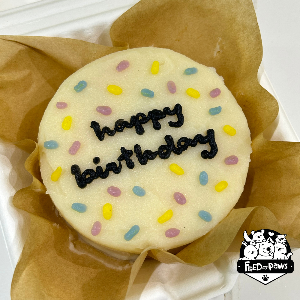 Feed My Paws SG - Handmade Mini Bento Dog Birthday Cake - Singapore ...